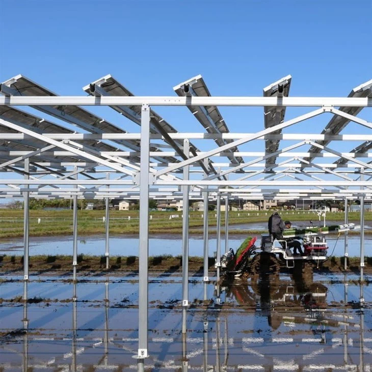 Customized Agricultural Solar Racking Systems Suppliers, Factory ...